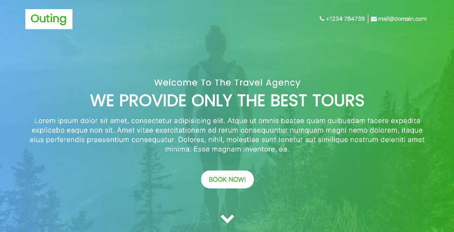 Top 30 Travel Website Templates for Free Download in 2020